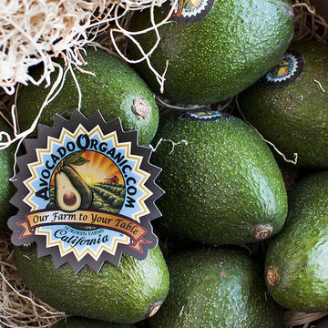 California Grown Organic Avocados | AvocadoOrganic.com